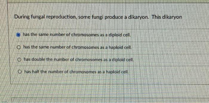 Solved During fungal reproduction, some fungi produce a | Chegg.com