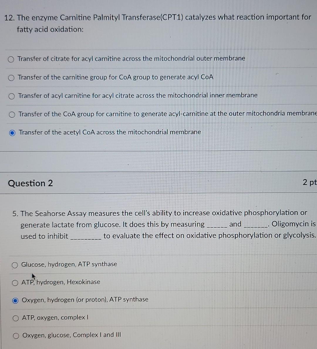 Solved 12. The enzyme Carnitine Palmityl Transferase(CPT1) | Chegg.com