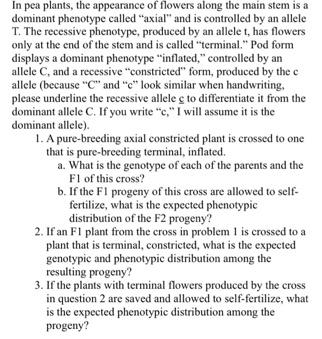 Solved In pea plants, the appearance of flowers along the | Chegg.com