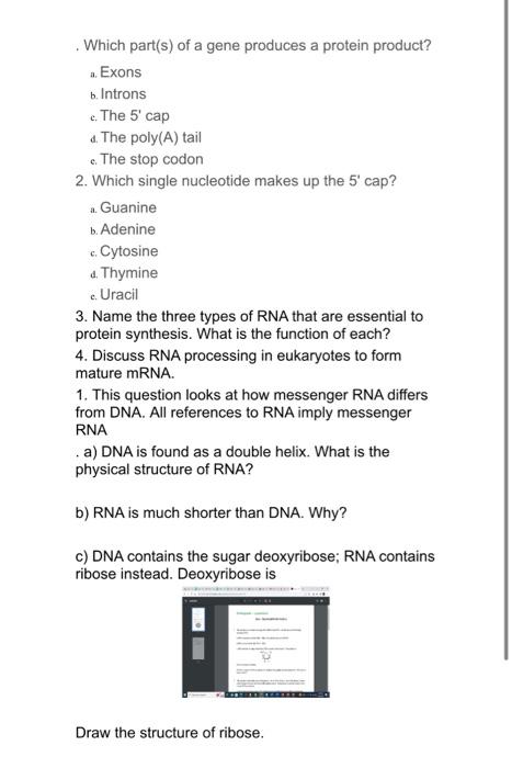 Solved Which part(s) of a gene produces a protein product? | Chegg.com