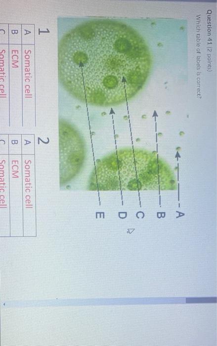 Solved Question 35 (2 points) Consider the multi-level | Chegg.com