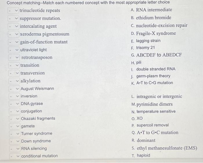 Solved Concept matching-Match each numbered concept with the | Chegg.com