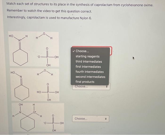 Solved Match each set of structures to its place in the | Chegg.com