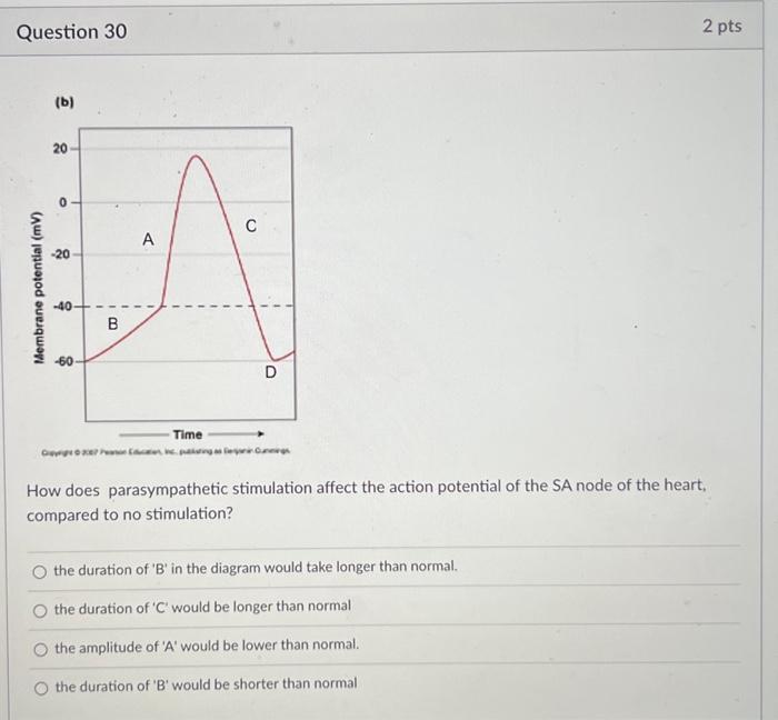 Solved (b) How does parasympathetic stimulation affect the | Chegg.com