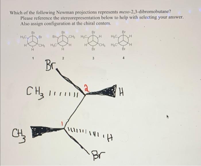 Solved Which of the following Newman projections represents | Chegg.com