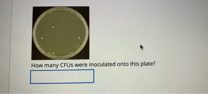 Solved How many CFUs were inoculated onto this plate? | Chegg.com