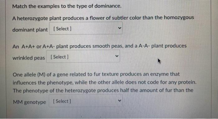 Solved Match the examples to the type of dominance. A | Chegg.com