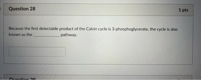 Solved Because the first detectable product of the Calvin | Chegg.com