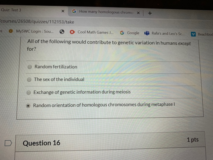 Solved Quiz: Test 3 X G How many homologous chromo X + | Chegg.com