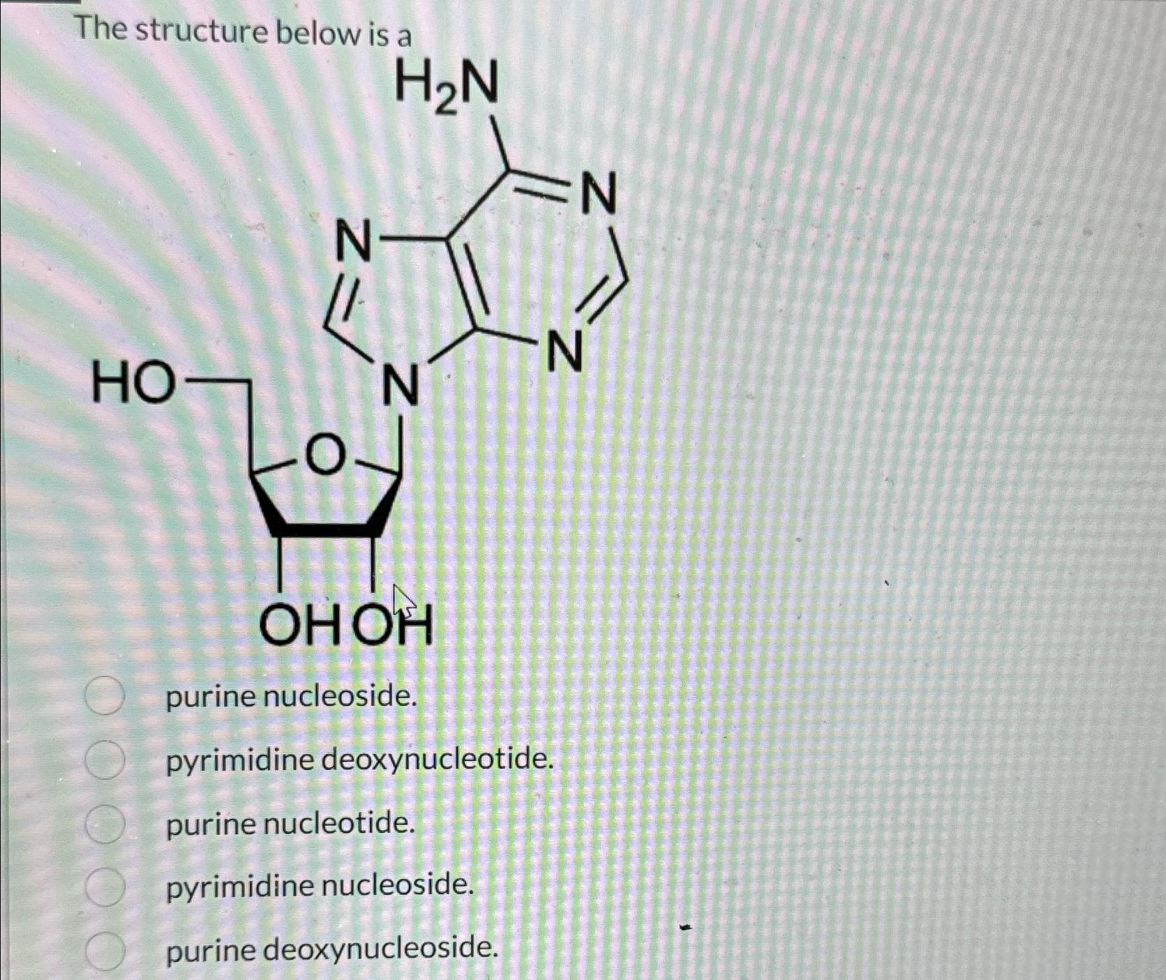 Solved The structure below is apurine nucleoside.pyrimidine | Chegg.com