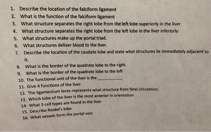Solved 1. Describe the location of the falciform ligament 2. | Chegg.com
