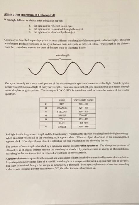 Solved Absorption spectrum of Chlorophyll When light falls | Chegg.com