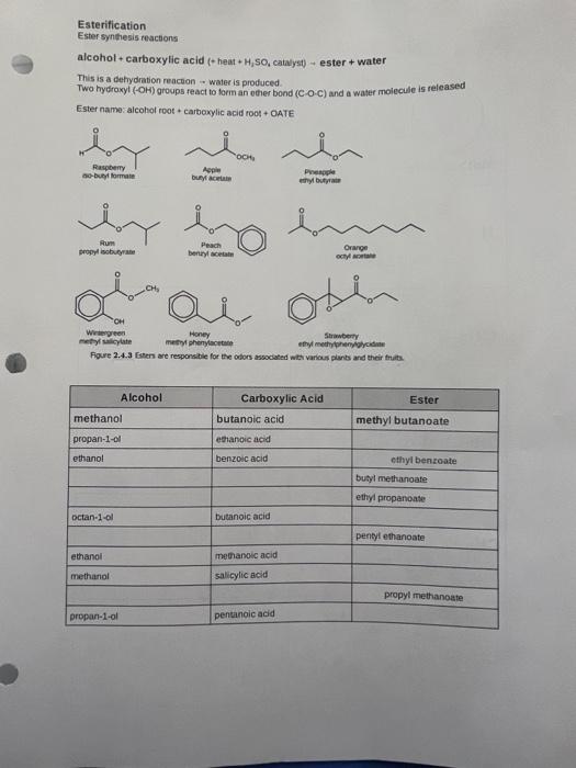 Solved Esterification Ester synthesis reactions alcohol + | Chegg.com