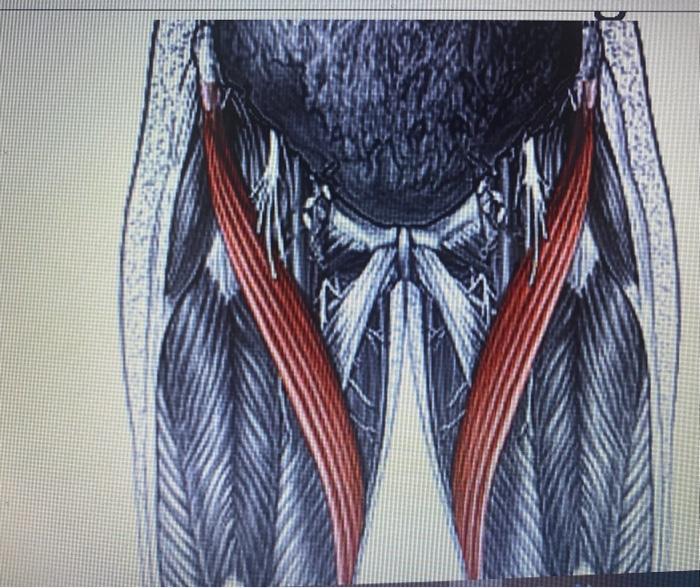 Solved (1) Please identify the highlighted red markings(2). | Chegg.com