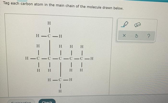 Solved Tag each carbon atom in the main chain of the | Chegg.com