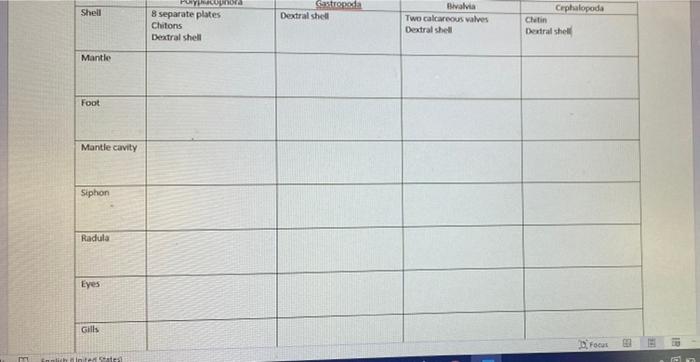 Solved Shell Gastrosada Dextral shell Ona 8 separate plates | Chegg.com