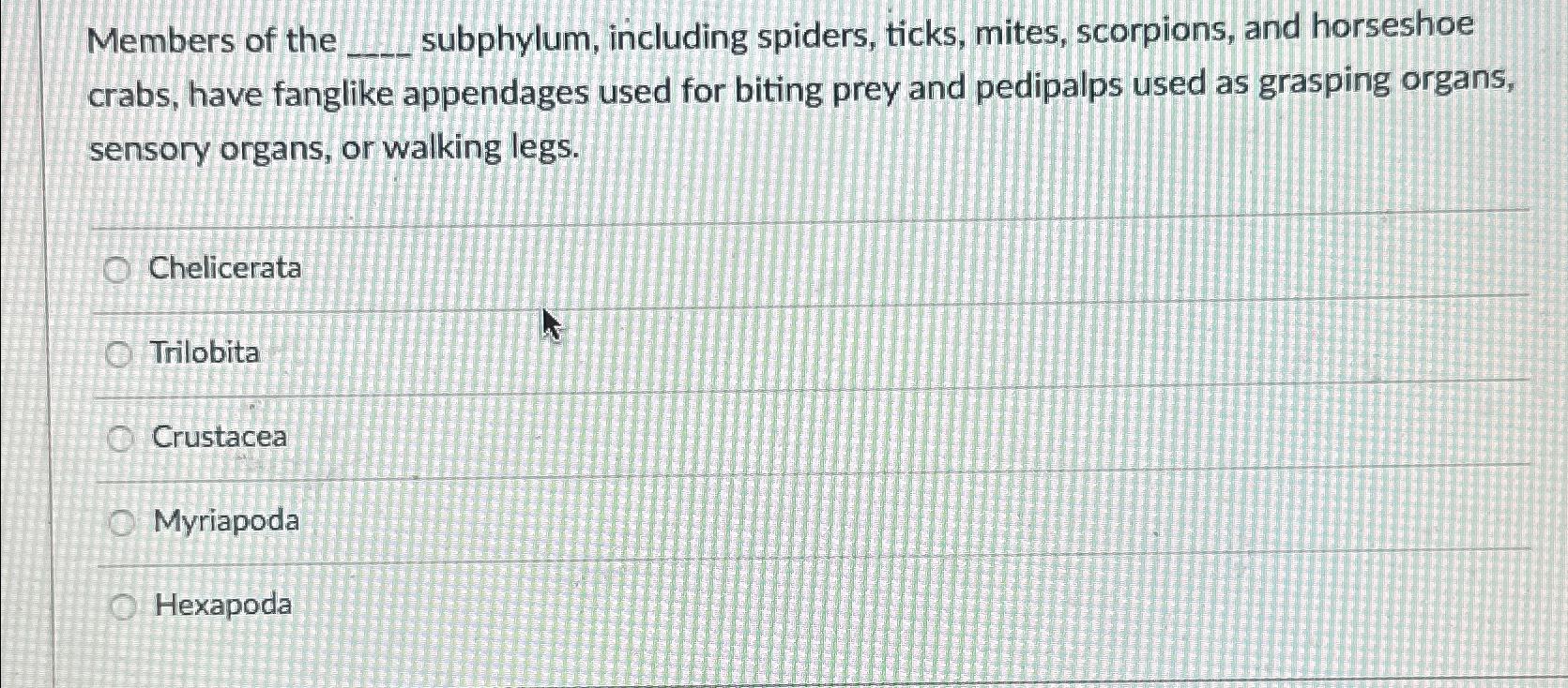 Solved Members of the subphylum, including spiders, ticks, | Chegg.com