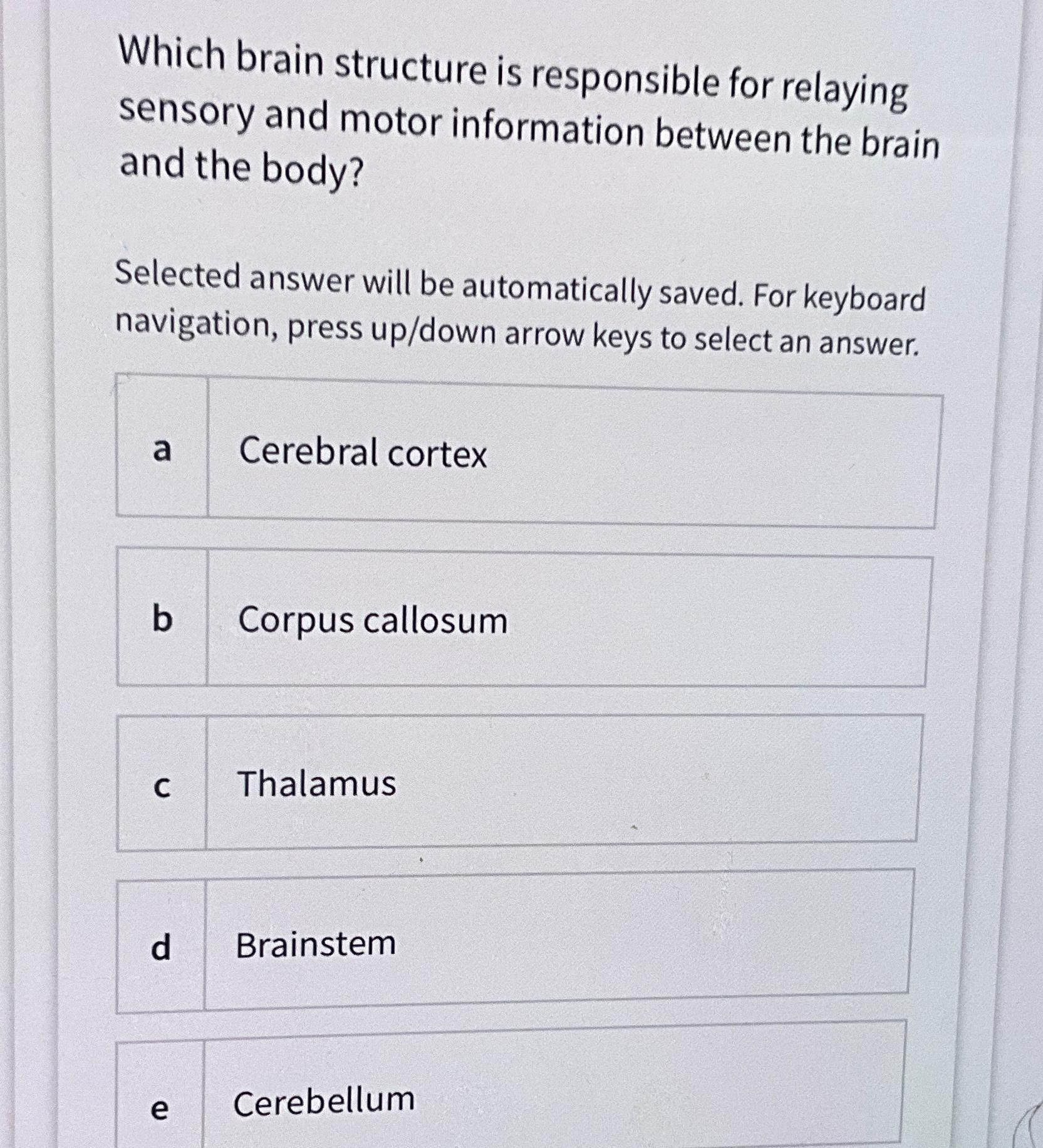 Solved Which brain structure is responsible for relaying | Chegg.com