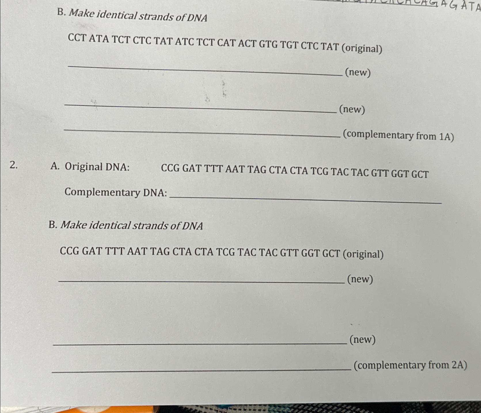 Solved B. ﻿Make identical strands of DNACCT ATA TCT CTC TAT | Chegg.com