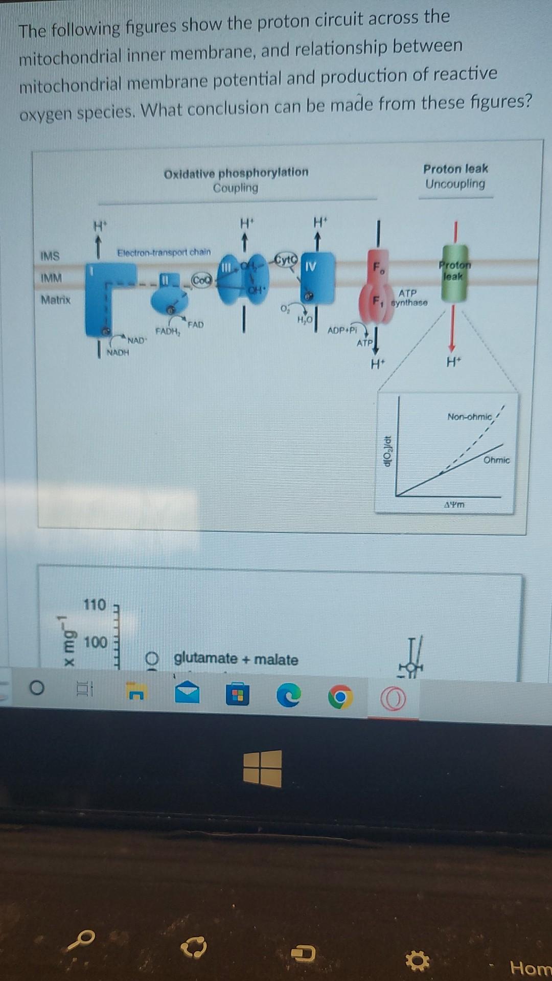 Solved The following figures show the proton circuit across | Chegg.com