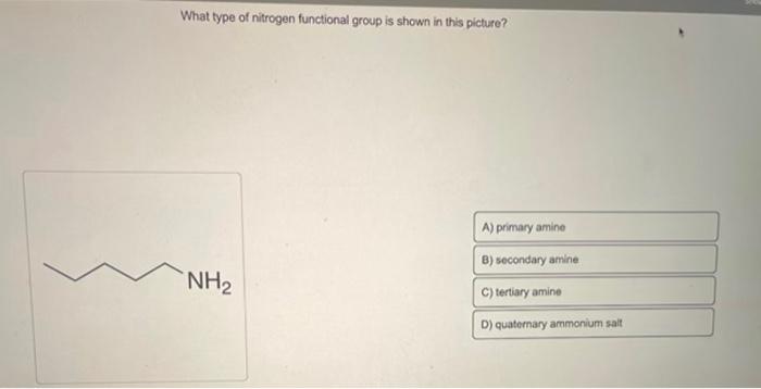Solved What type of nitrogen functional group is shown in | Chegg.com