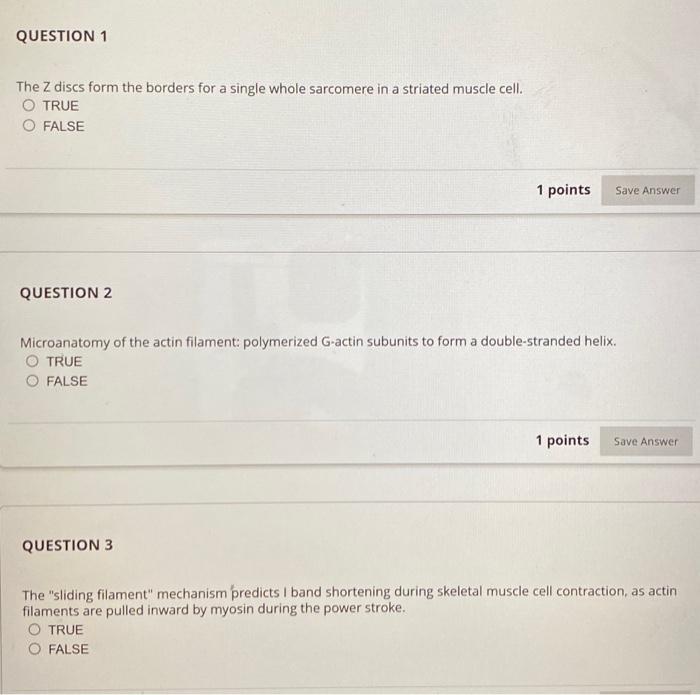 Solved The Z discs form the borders for a single whole | Chegg.com