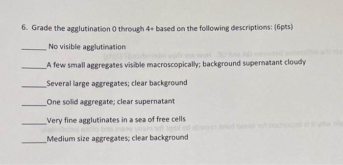 Solved 6. Grade the agglutination 0 through 4+ based on the | Chegg.com
