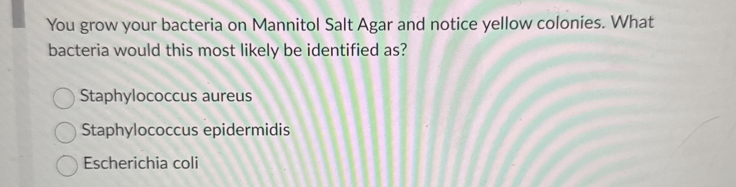 Solved You grow your bacteria on Mannitol Salt Agar and | Chegg.com