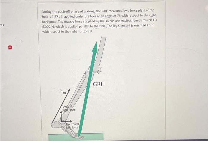 Solved During the push-off phase of walking, the GRF | Chegg.com