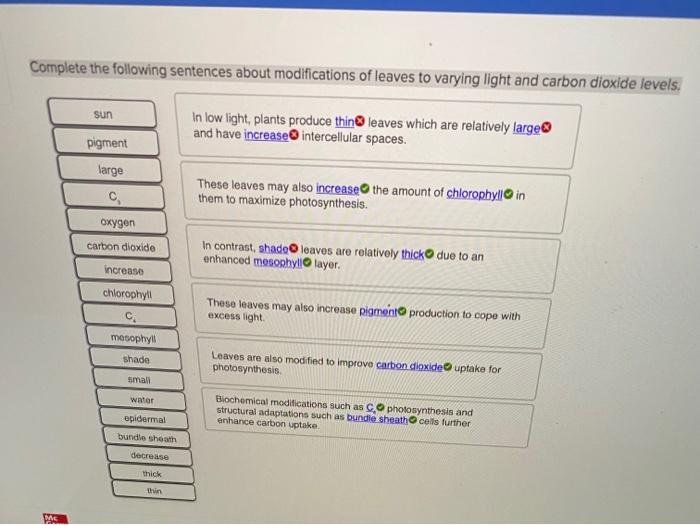 Solved Complete the following sentences about modifications | Chegg.com