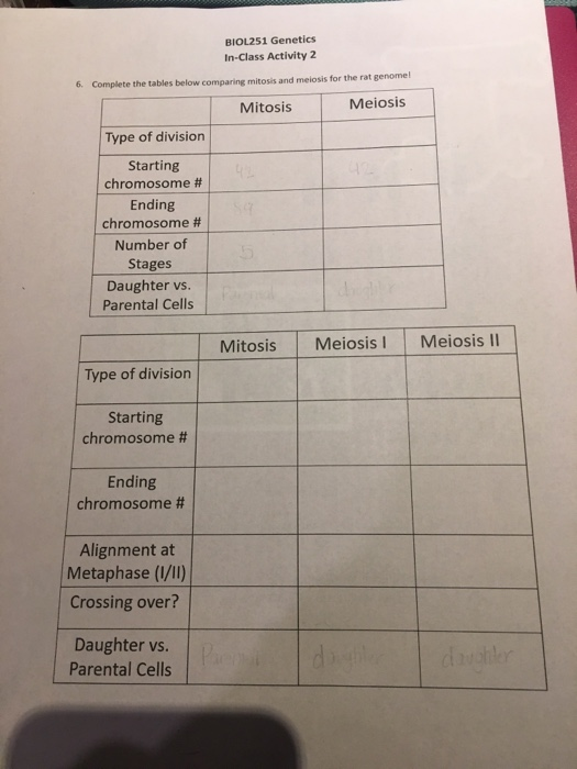 Solved BIOL251 Genetics In-Class Activity 2 diploid somatic | Chegg.com