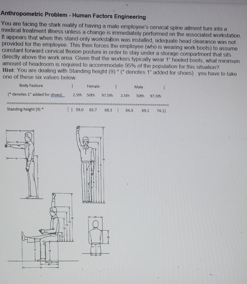 Solved Anthropometric Problem - Human Factors Engineering | Chegg.com