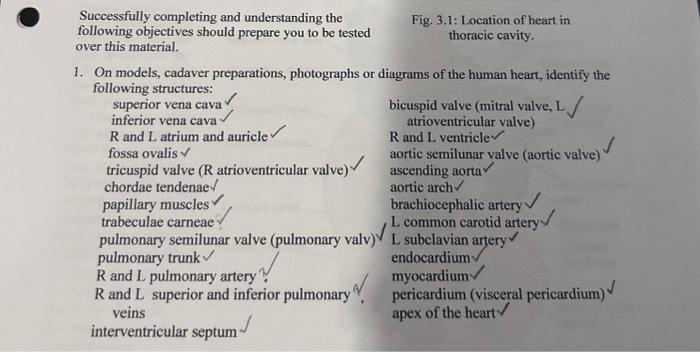 Solved label all of the terms listed in objective one on the | Chegg.com