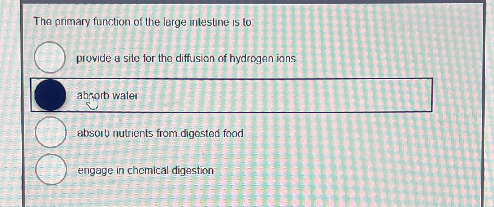 Solved The primary function of the large intestine is | Chegg.com