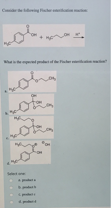 Solved Consider the following Fischer esterification | Chegg.com