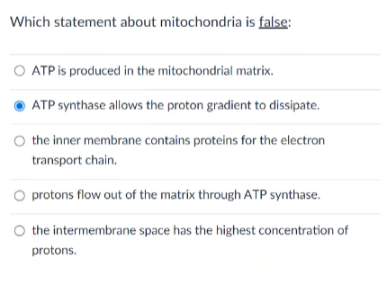 Solved Which statement about mitochondria is false:ATP is | Chegg.com