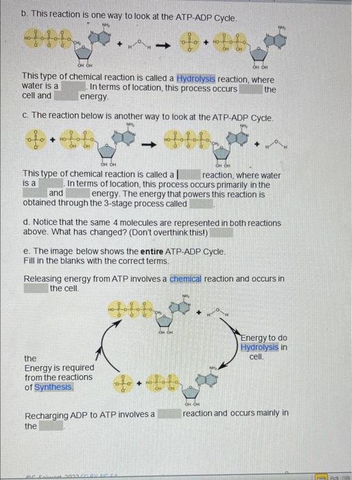 Solved b. This reaction is one way to look at the ATP-ADP | Chegg.com