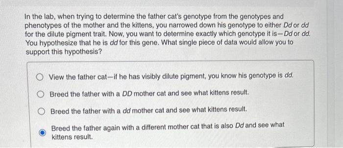 Solved In the lab, when trying to determine the father cat's | Chegg.com