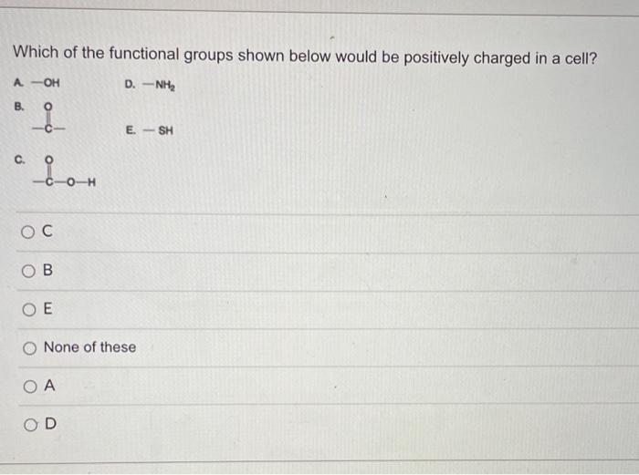 Solved Which of the functional groups shown below would be | Chegg.com