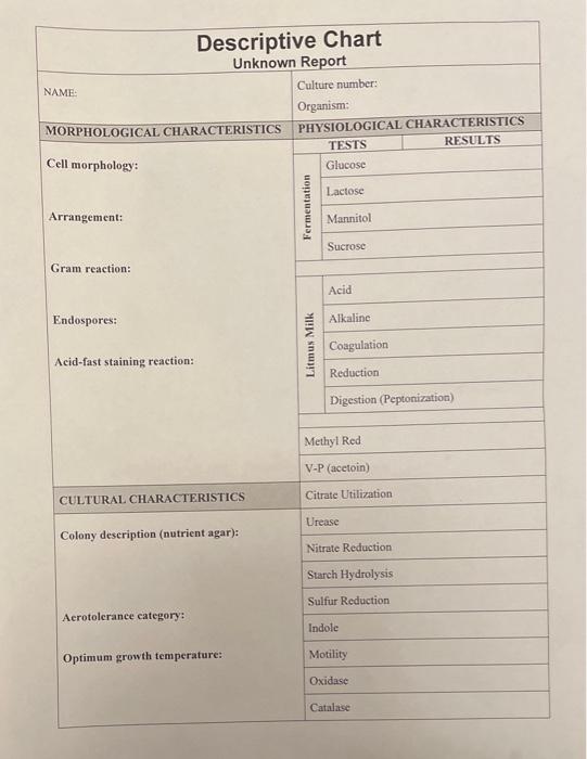 Outline for Unknown Reports In these last couple | Chegg.com