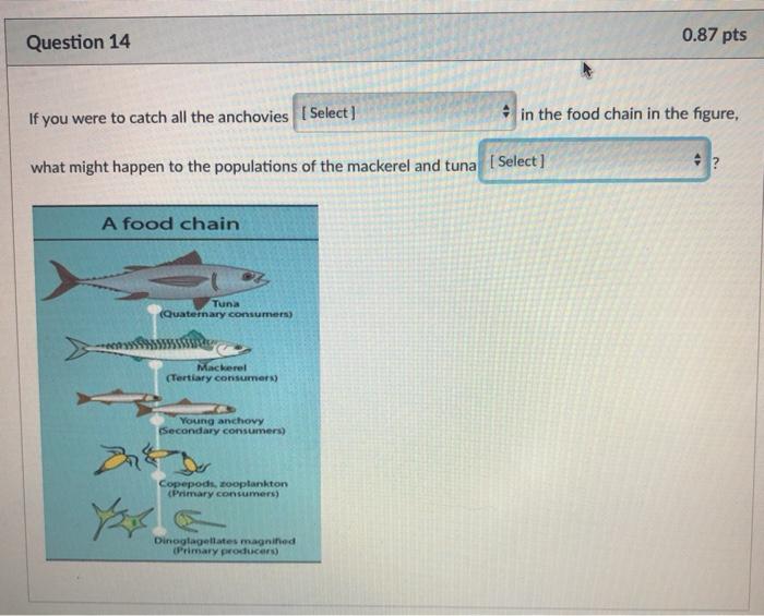 Solved 0.87 pts Question 14 in the food chain in the figure, | Chegg.com