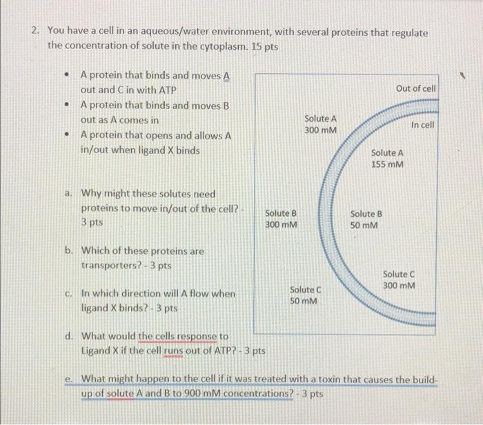 Solved 2. You have a cell in an aqueous/water environment, | Chegg.com