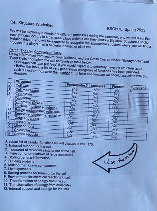 Solved can you explain what they want in the chart( Function | Chegg.com
