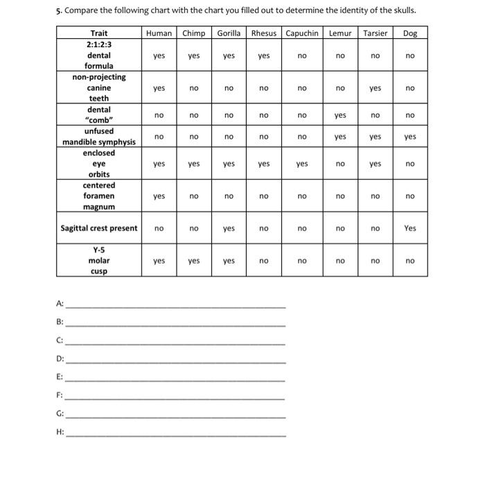 Solved Examine the specimens on the next 3 pages. The Y.5 | Chegg.com