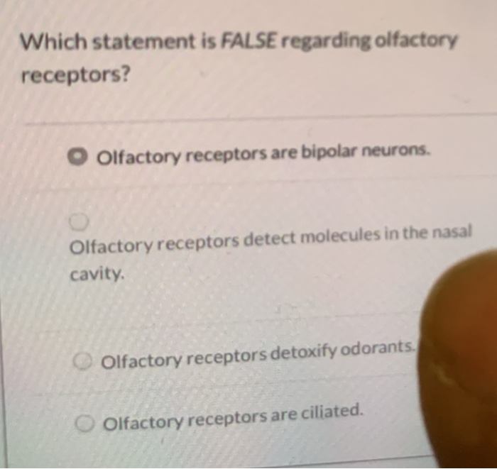 Solved What specific structures compose each taste bud? O | Chegg.com