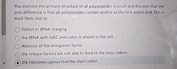 Solved You examine the primary structure of all polypeptides | Chegg.com