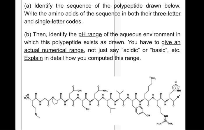 Solved (a) Identify the sequence of the polypeptide drawn | Chegg.com