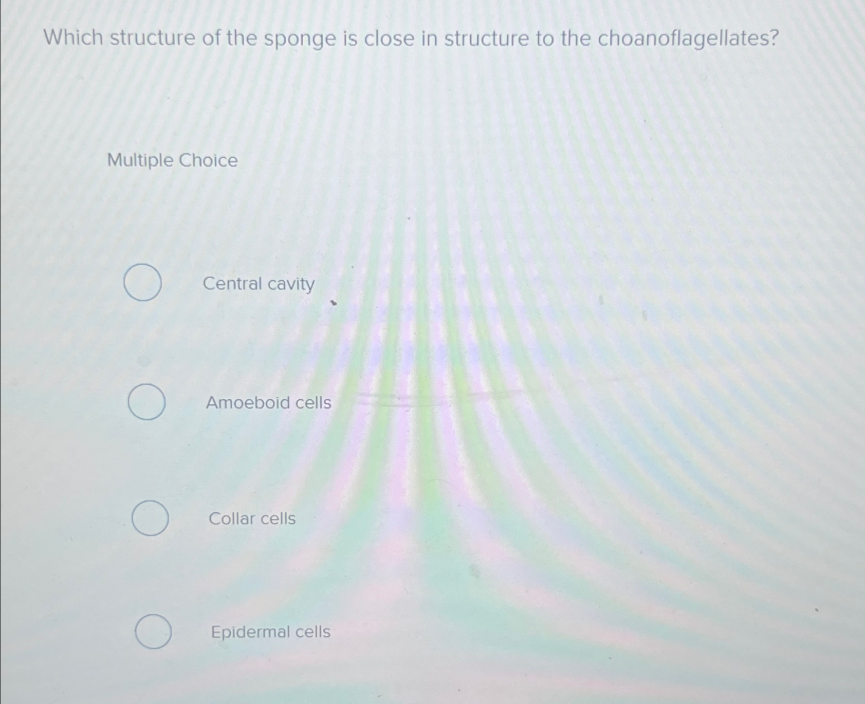 Solved Which structure of the sponge is close in structure | Chegg.com
