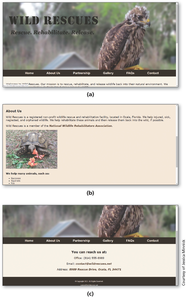 Solved You volunteer at a local wildlife rescue, a nonprofit | Chegg.com