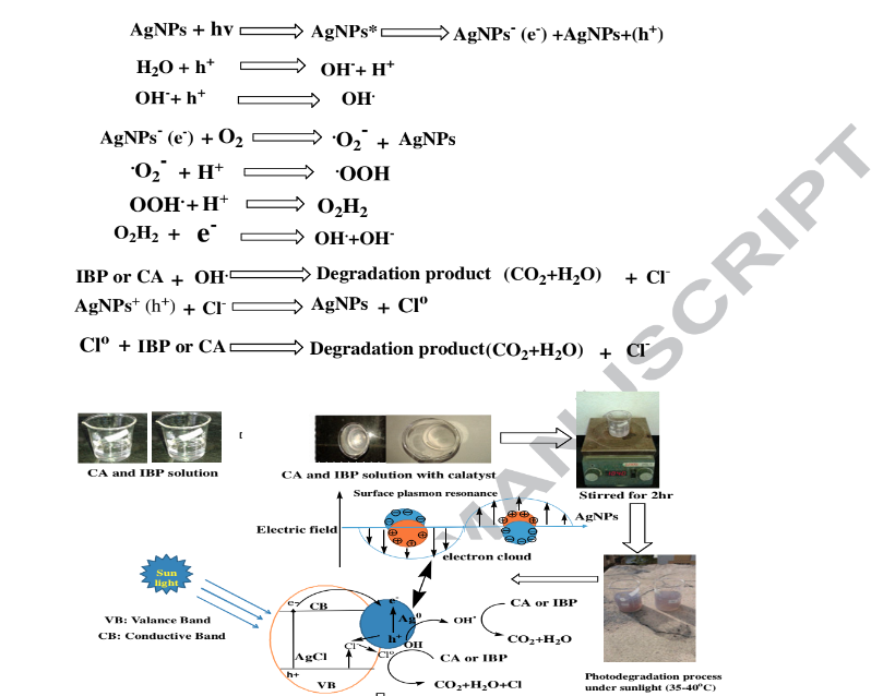 Solved can you explain this mechanism very well for me step | Chegg.com